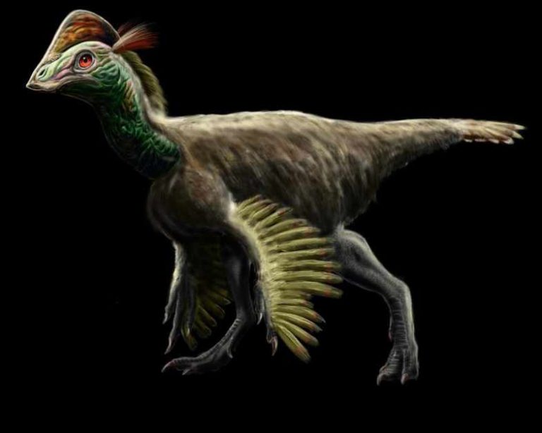 anzu-wyliei-by-eloymanzanero | Czas Tytanów | Blogi DinoAnimals.pl