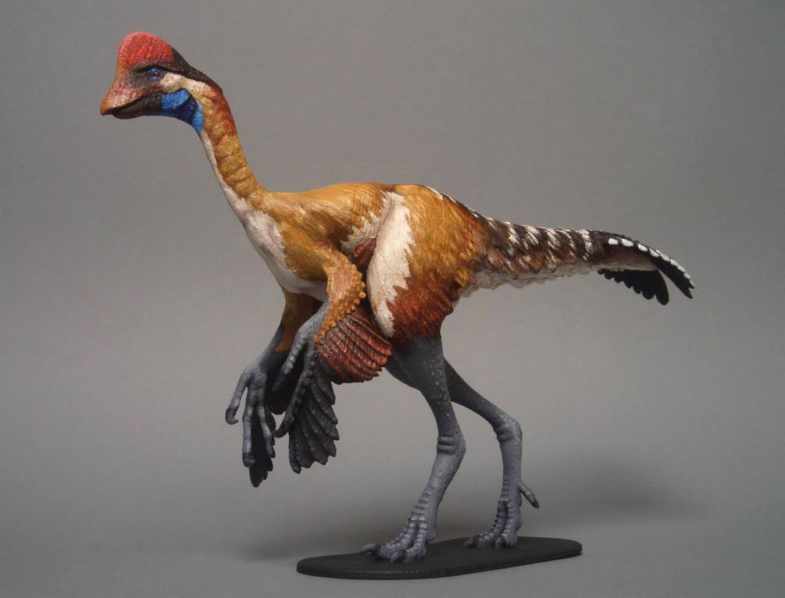 ANZU WYLIEI | Czas Tytanów