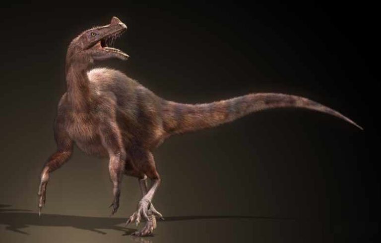 Ornitholestes hermanni | Czas Tytanów