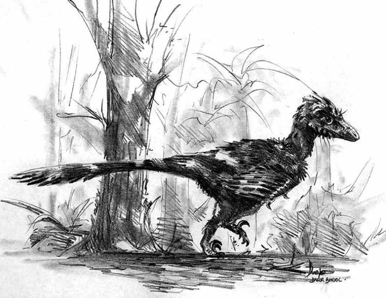 Balaur bondoc | Czas Tytanów