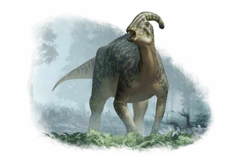 Parasaurolophus | Czas Tytanów