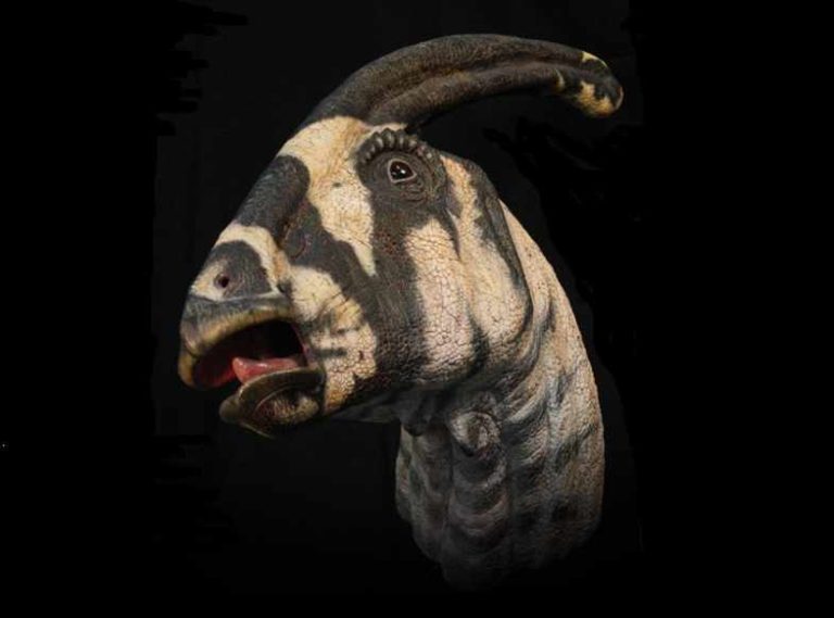 Parasaurolophus | Czas Tytanów