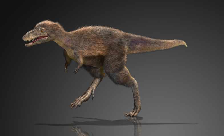 raptorex_20160416 | Czas Tytanów | Blogi DinoAnimals.pl