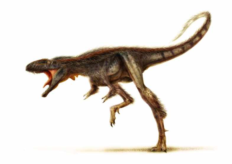 Raptorex kriegsteini | Czas Tytanów