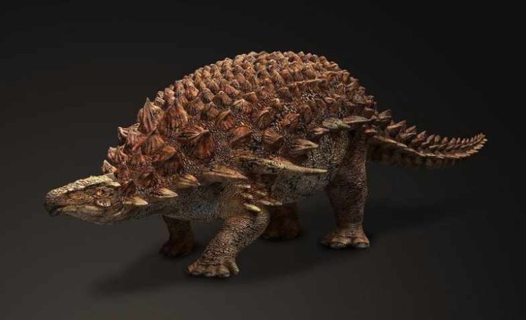 Borealopelta markmitchelli | Czas Tytanów