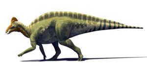 Magnapaulia laticaudus | Czas Tytanów