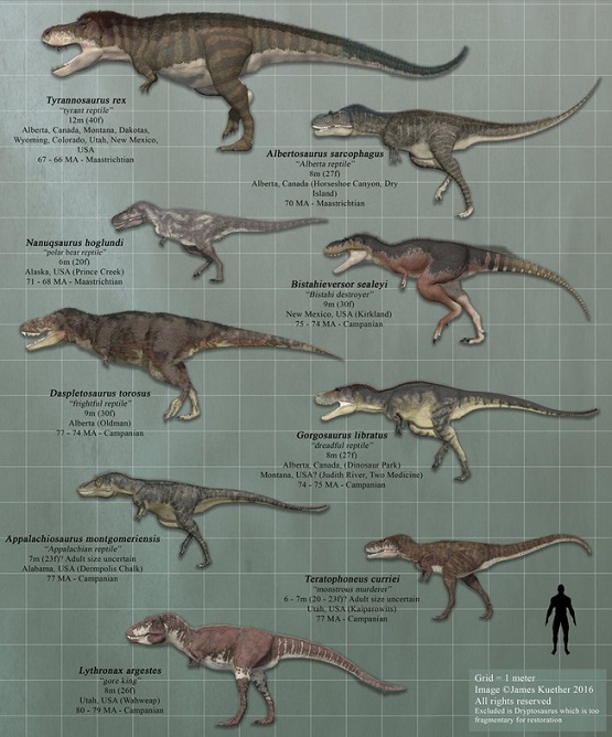 Nanuqsaurus hoglundi | Czas Tytanów