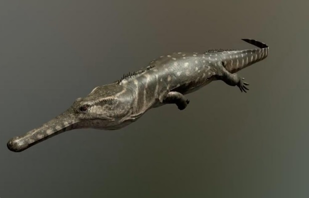 Jak duże były kenozoiczne krokodyle i krokodylomorfy? | Czas Tytanów