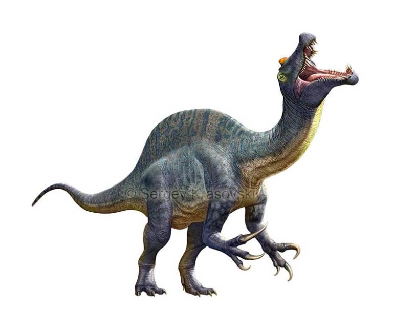 Sigilmassasaurus1 | Dinosaurs World | Blogi DinoAnimals.pl