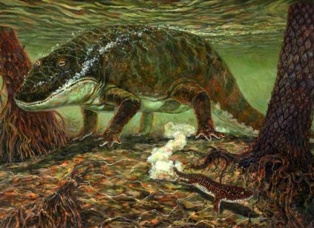 Potworarium | Blogi DinoAnimals.pl