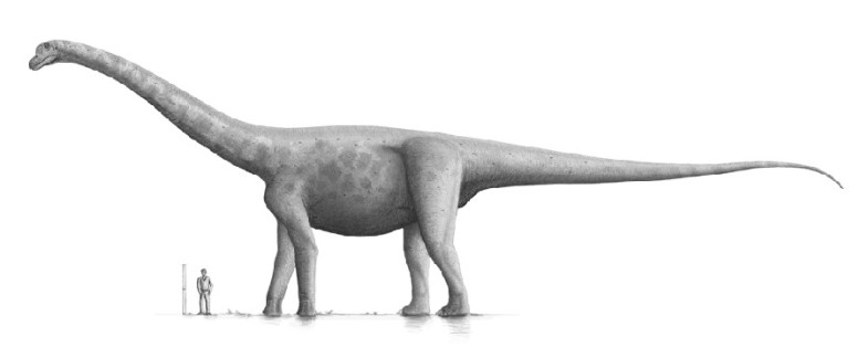 Bruhathkayosaurus czyli niekończąca się historia! | Shahen - Świat ...
