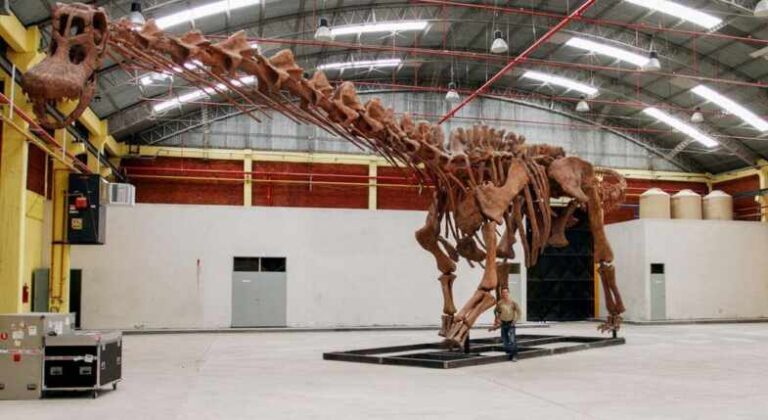 Shahen - świat dinozaurów