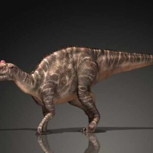 Kelmayisaurus Gigantus-najwiekszy teropod? | Świat dinozaurów