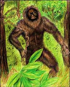 Mande Burung | Tajemnicze zwierzęta