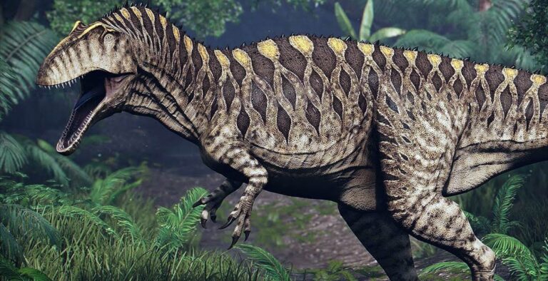 Teropod – Blogi DinoAnimals.pl