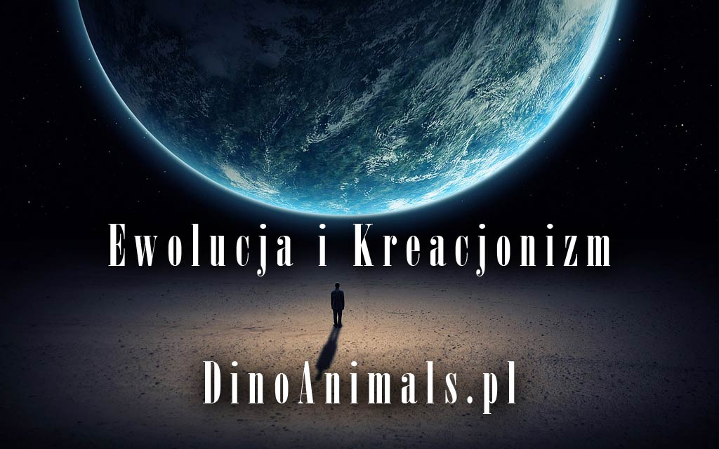 Ewolucja i Kreacjonizm - DinoAnimals.pl