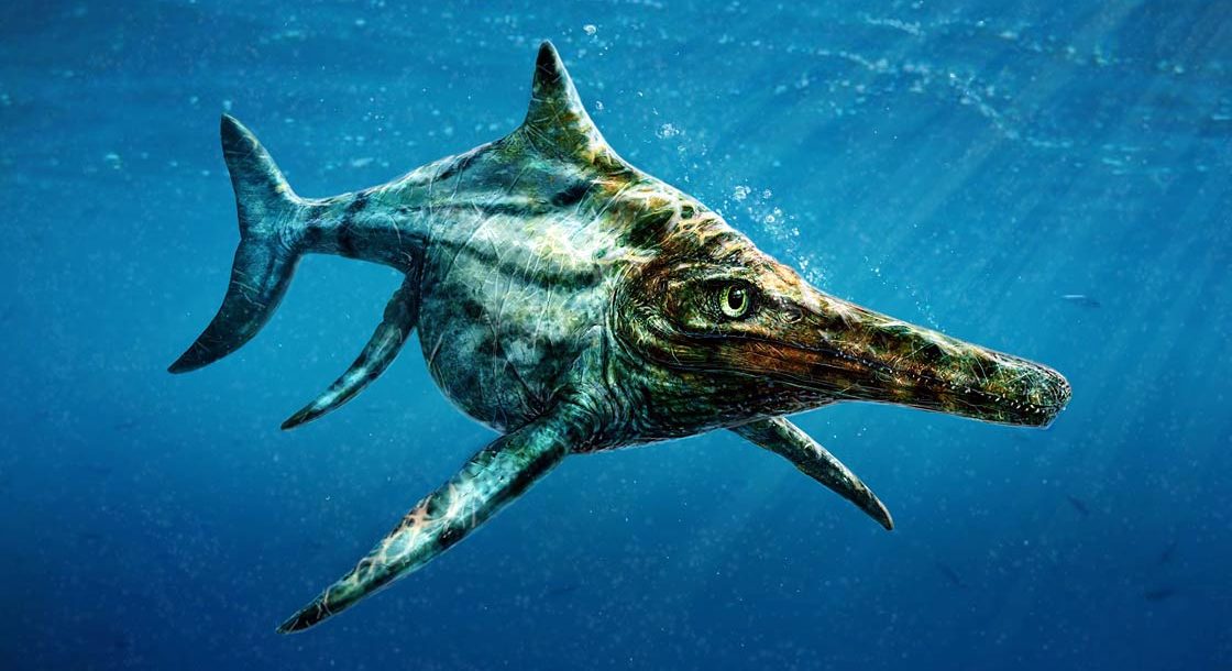 Ichtiozaur z Polski! | Odkrycia DinoAnimals.pl