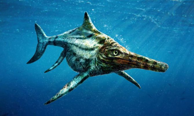 Ichtiozaur z Polski! | Odkrycia DinoAnimals.pl