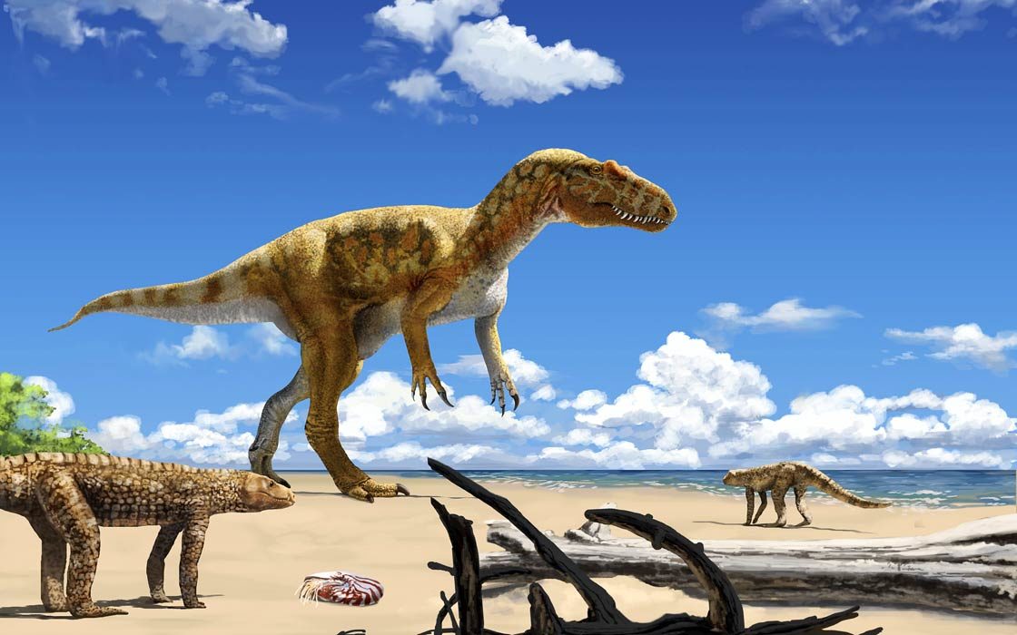 Saltriovenator zanellai – nowy dinozaur! | Odkrycia DinoAnimals.pl