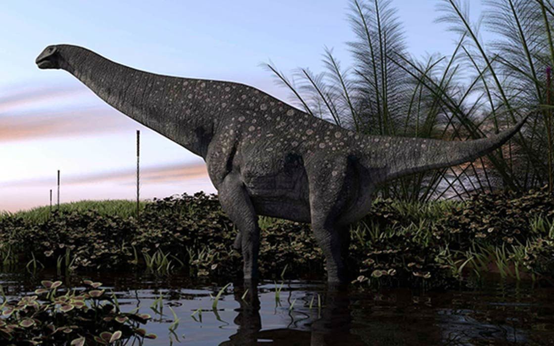 Volgatitan simbirskiensis – opisano nowego tytanozaura | Odkrycia ...