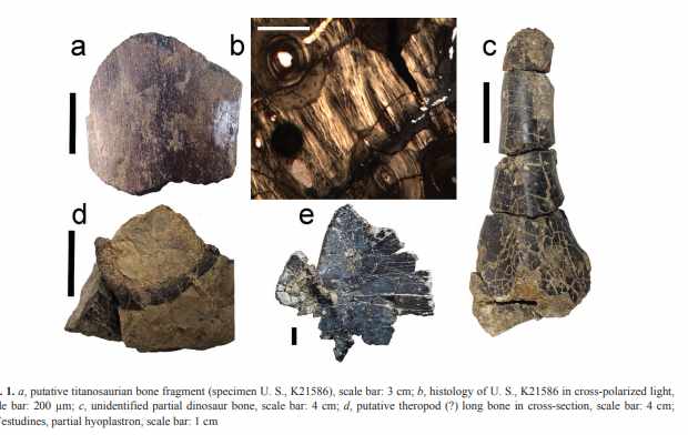 Tytanozaur i być może teropod z Bułgarii | Odkrycia DinoAnimals.pl