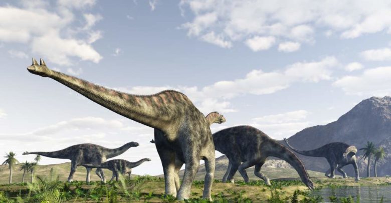 Pierwsze odkryte dinozaury - Iguanodon, megalozaur | DinoAnimals.pl ...