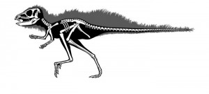 Najmniejszy dinozaur - Heterodontosaurus i Pegomastax | DinoAnimals.pl