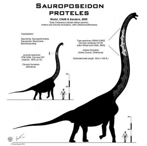 Zauroposejdon (Sauroposeidon) - dinozaur trzęsący Ziemią. | DinoAnimals.pl
