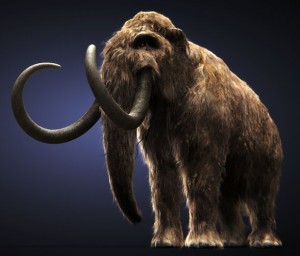 Mamut - prehistoryczny słoń | DinoAnimals.pl