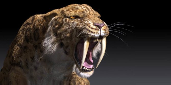 Tygrys szablozębny, szablastozębny (smilodon) | DinoAnimals.pl