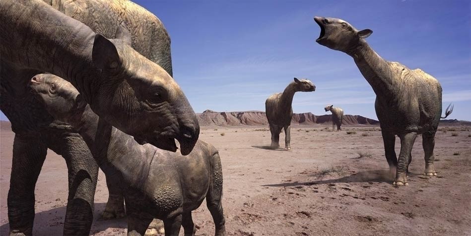 Indrikoterium, Paraceratherium, Baluchitherium | DinoAnimals.pl