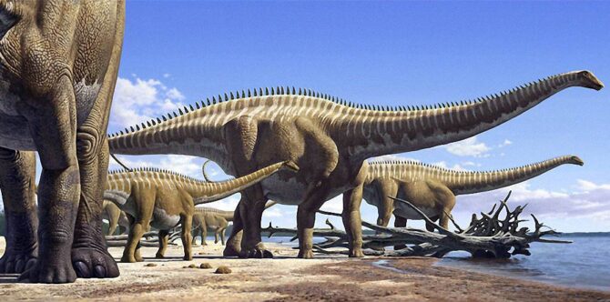 Superzaur (Supersaurus), Ultrazaur (Ultrasauros) | DinoAnimals.pl