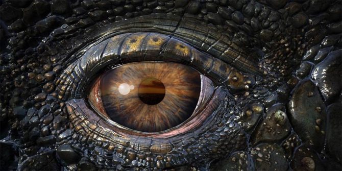 Mozazaury (Mosasauridae) | DinoAnimals.pl