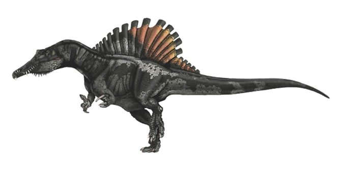 Oxalaia (Oxalaia quilombensis) | DinoAnimals.pl