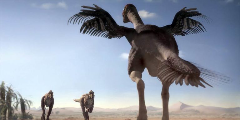 Gigantoraptor (Gigantoraptor erlianensis) | DinoAnimals.pl