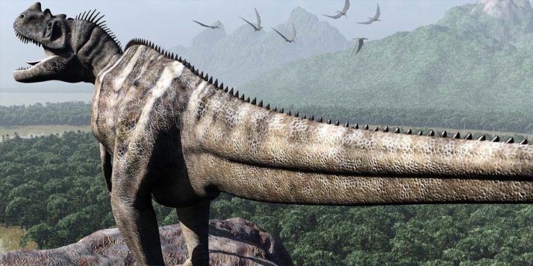 Ceratozaur (Ceratosaurus) | DinoAnimals.pl