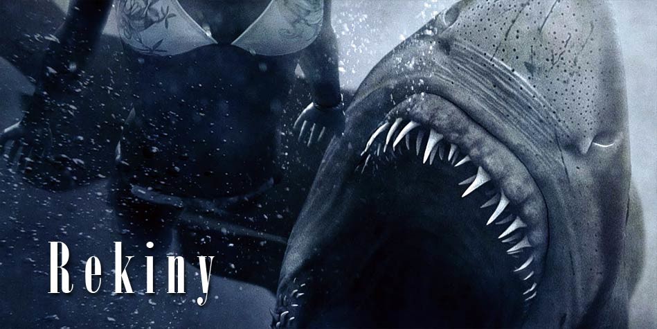 Rekiny - mity, fakty, charakterystyka | DinoAnimals.pl