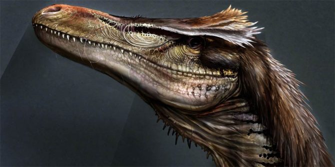 Austroraptor | DinoAnimals.pl