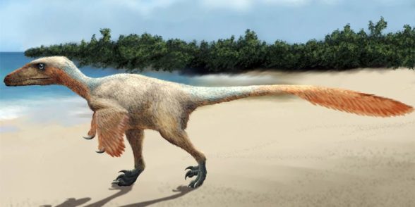 Balaur – ptak czy dinozaur? | DinoAnimals.pl