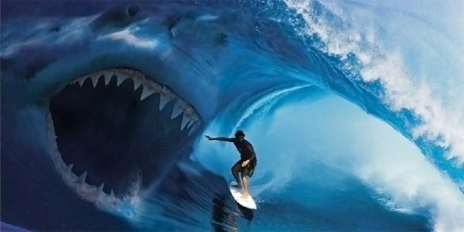 Ludojady: Ataki rekinów w New Jersey | DinoAnimals.pl