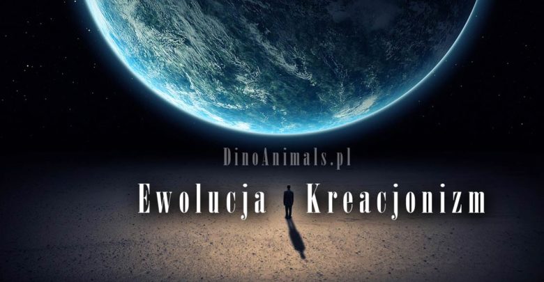 Ewolucja | DinoAnimals.pl