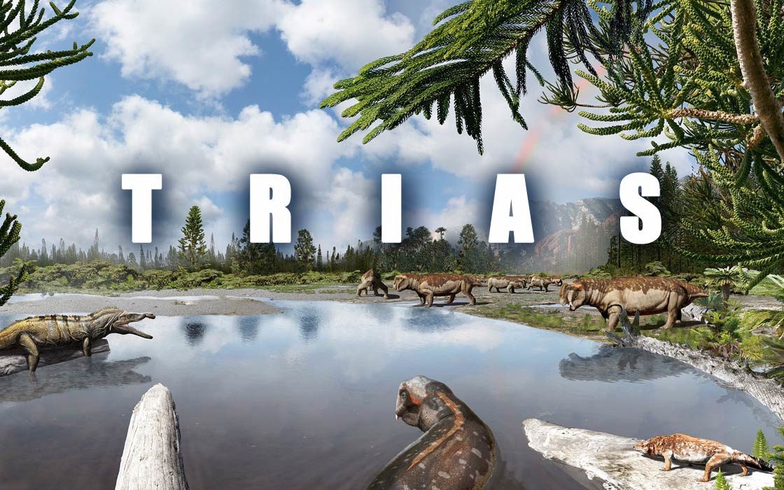 Era mezozoiczna – Trias | DinoAnimals.pl