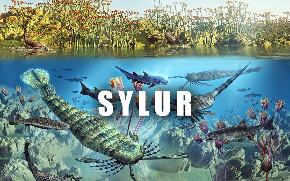 Era paleozoiczna – Sylur | DinoAnimals.pl