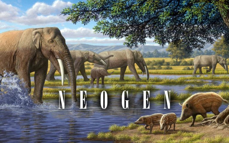 Era kenozoiczna – Neogen | DinoAnimals.pl