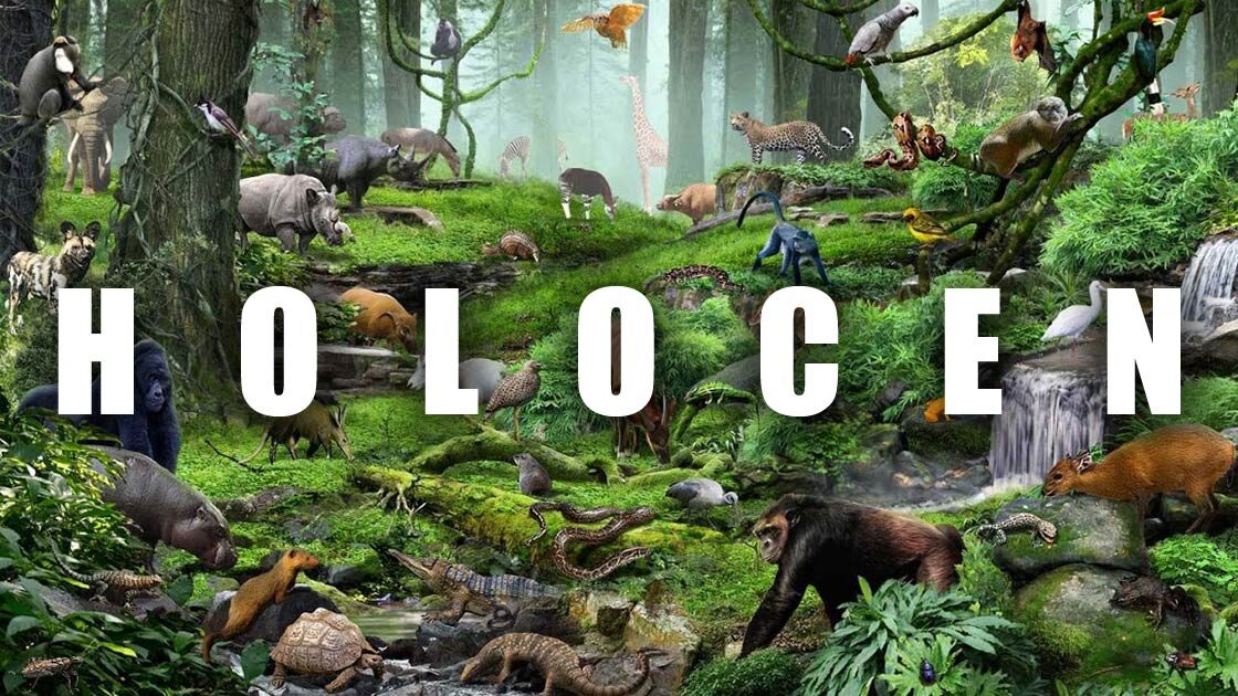 Era kenozoiczna – Holocen | DinoAnimals.pl