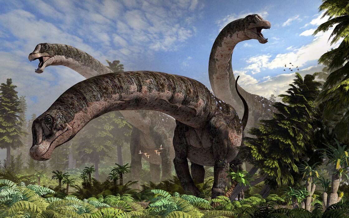 Największe z największych dinozaurów | DinoAnimals.pl