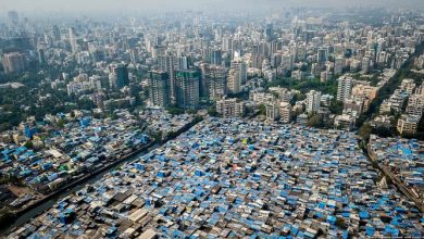 Mumbaj (Bombaj) – w krainie maksymalizmu | DinoAnimals.pl