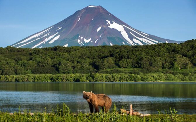 Kamczatka – kraina wulkanów | DinoAnimals.pl