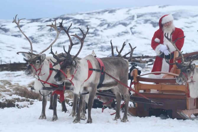 Święty Mikołaj i Renifery | DinoAnimals.pl