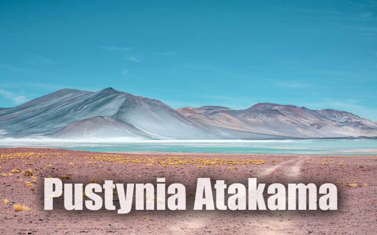 Atakama – pustynia mglista | DinoAnimals.pl